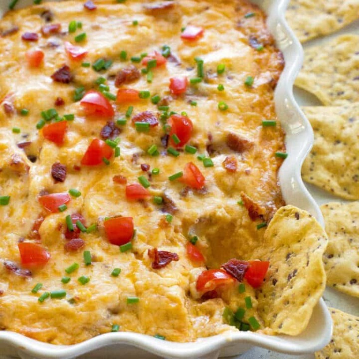 25 BEST Hot Dip Recipes - Great Holiday Recipes