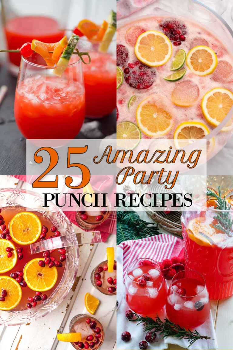 25 Amazing Party Punch Recipes - Great Holiday Recipes